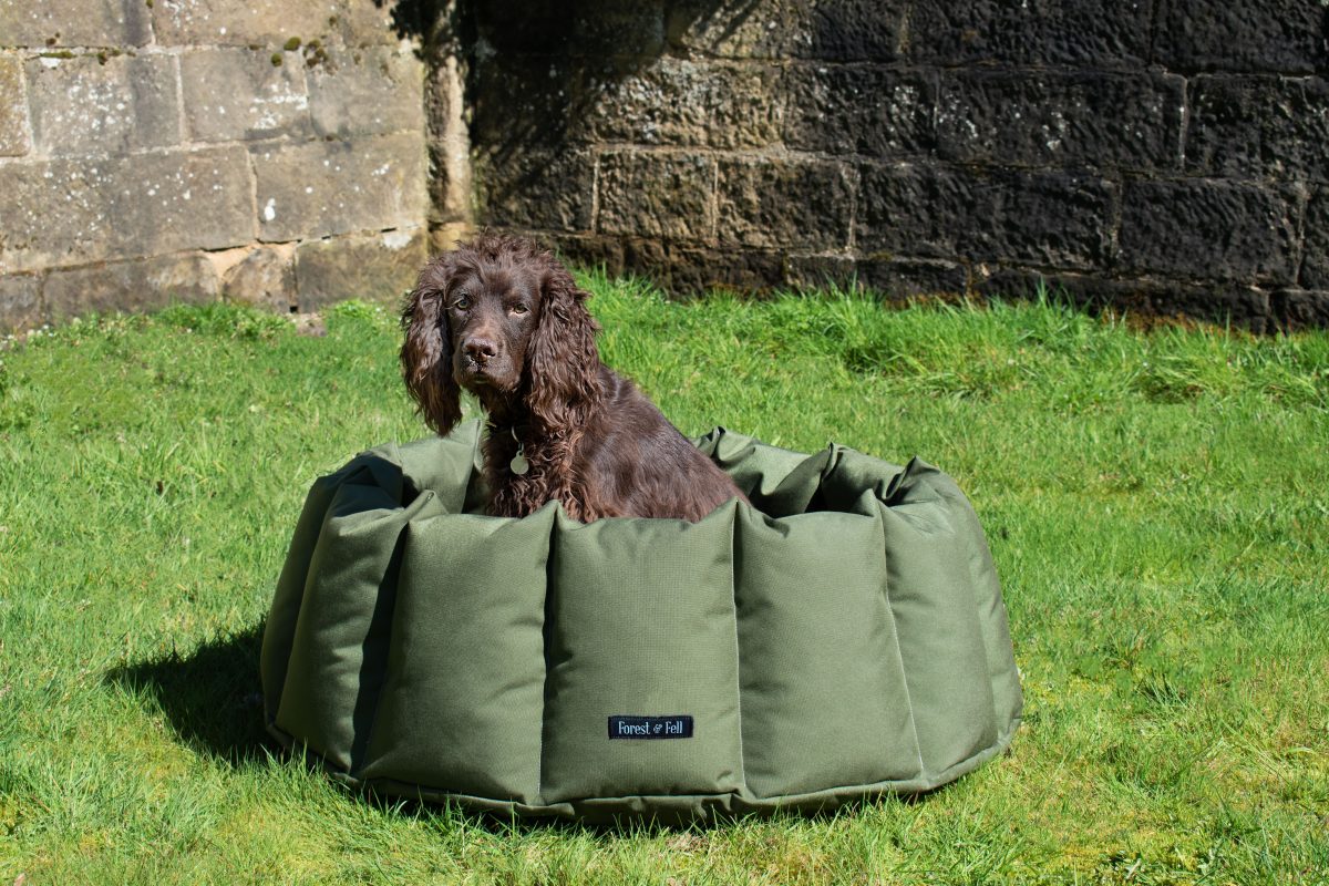 Ultimate Waterproof Den Dog Bed - Forest & Fell | Country Home Furnishings